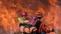 Why Prisoner Firefighters Are Battling The Devastating LA Wildfires ...