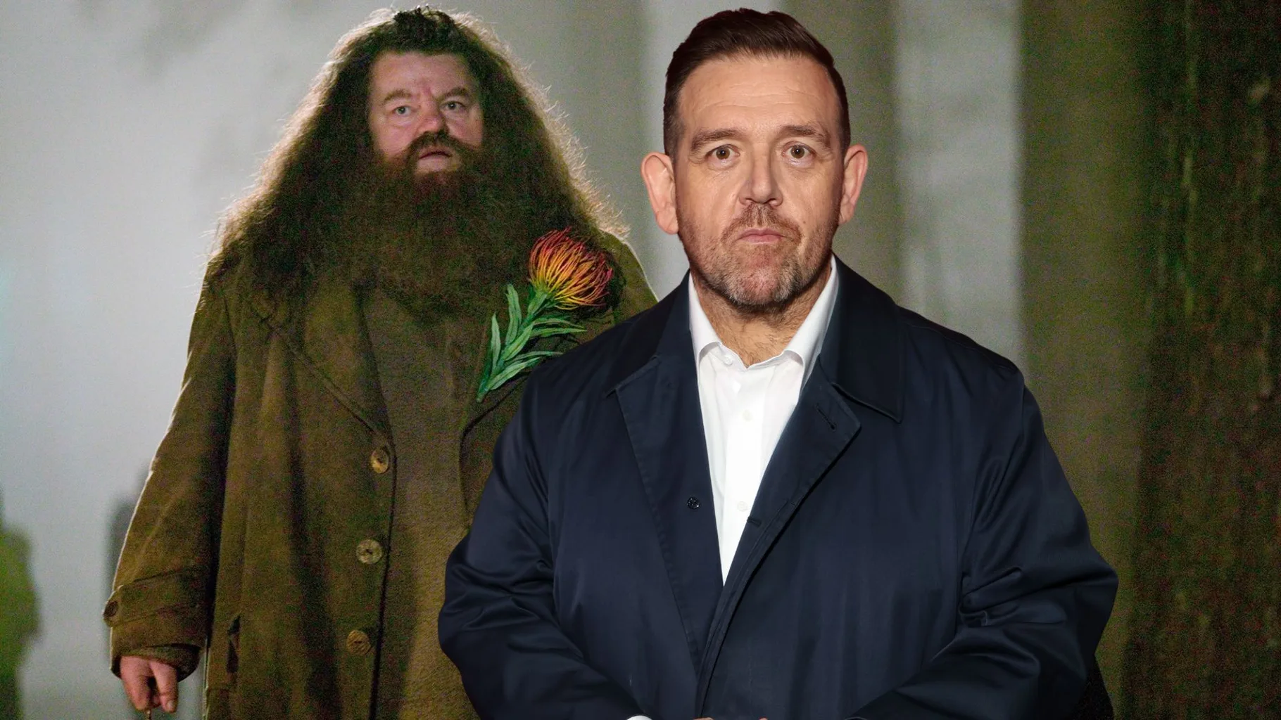 Who's Playing Hermione, Ron & Harry In The New 'Harry Potter'? | marie ...