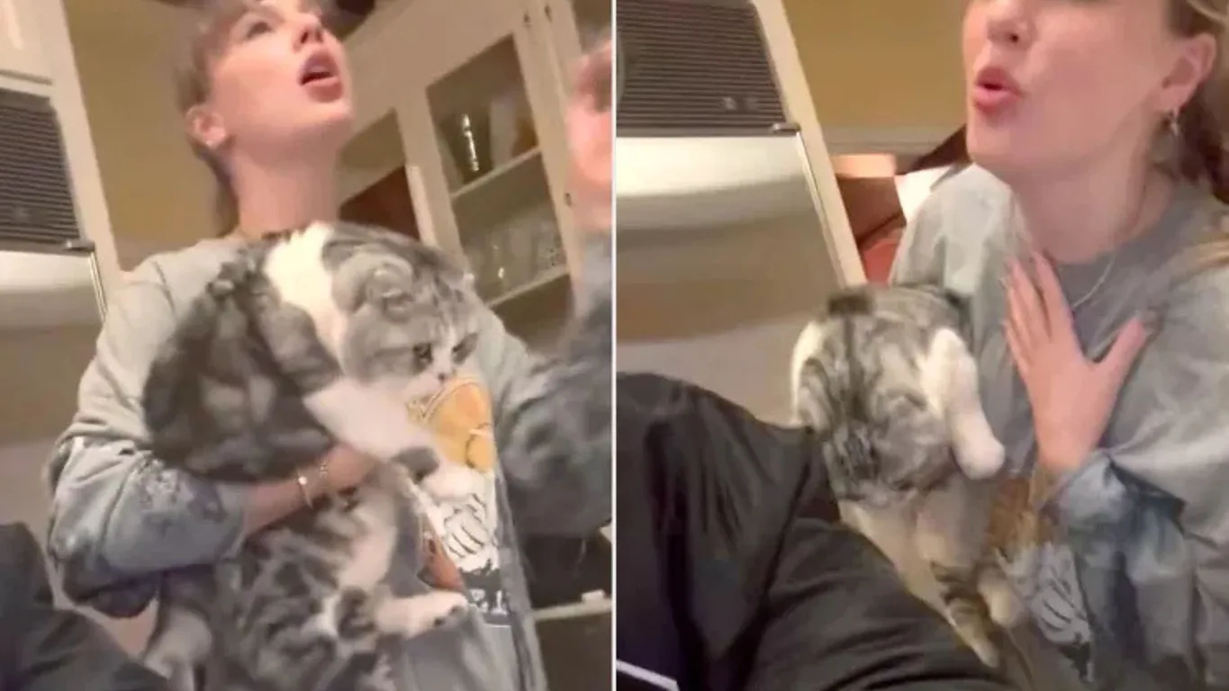 Taylor Swift’s Cat Meredith Grey Makes Rare Appearance