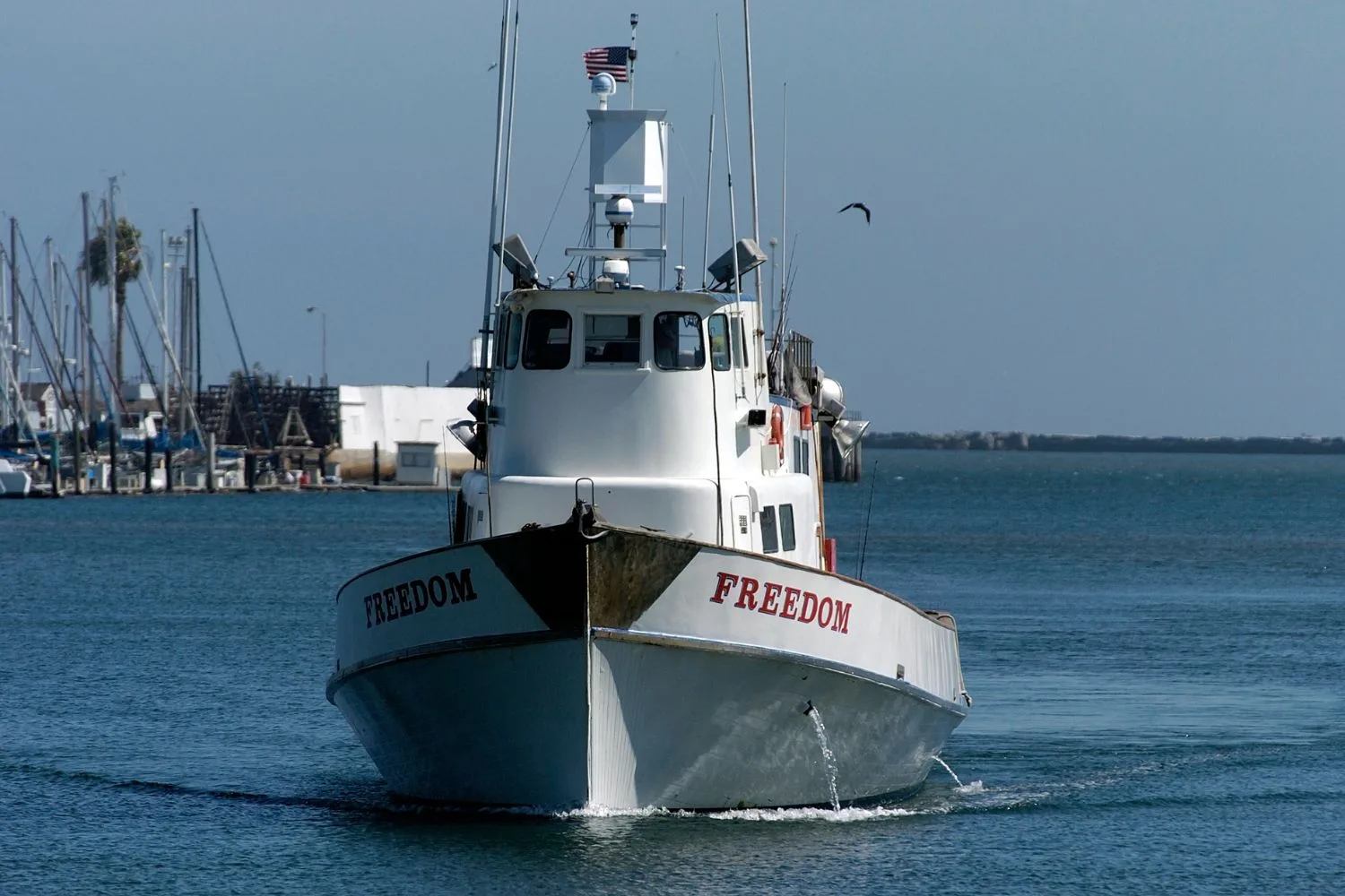 What Happened To Olivia Newton John's Boyfriend Who Was Lost At Sea?