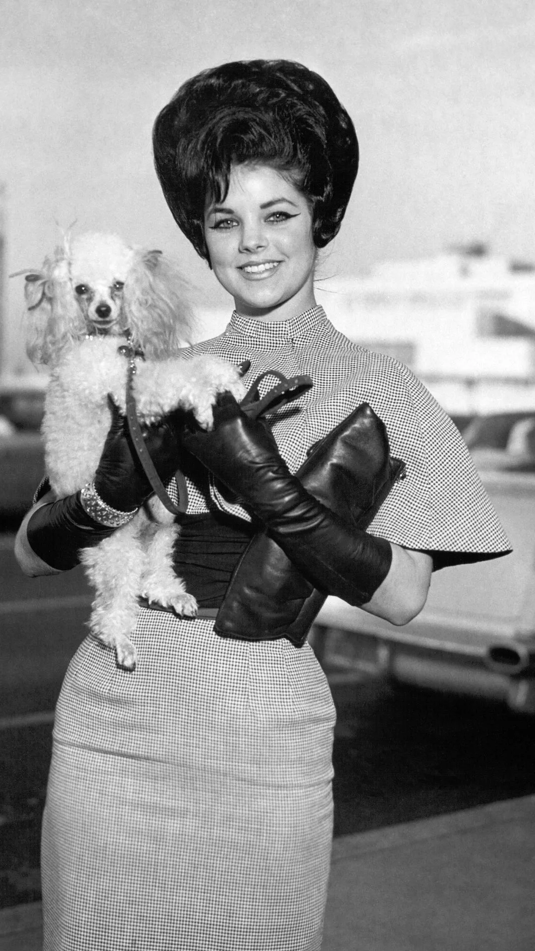 What Is ‘Priscilla’ Based On? The Truth Behind Elvis & Priscilla ...