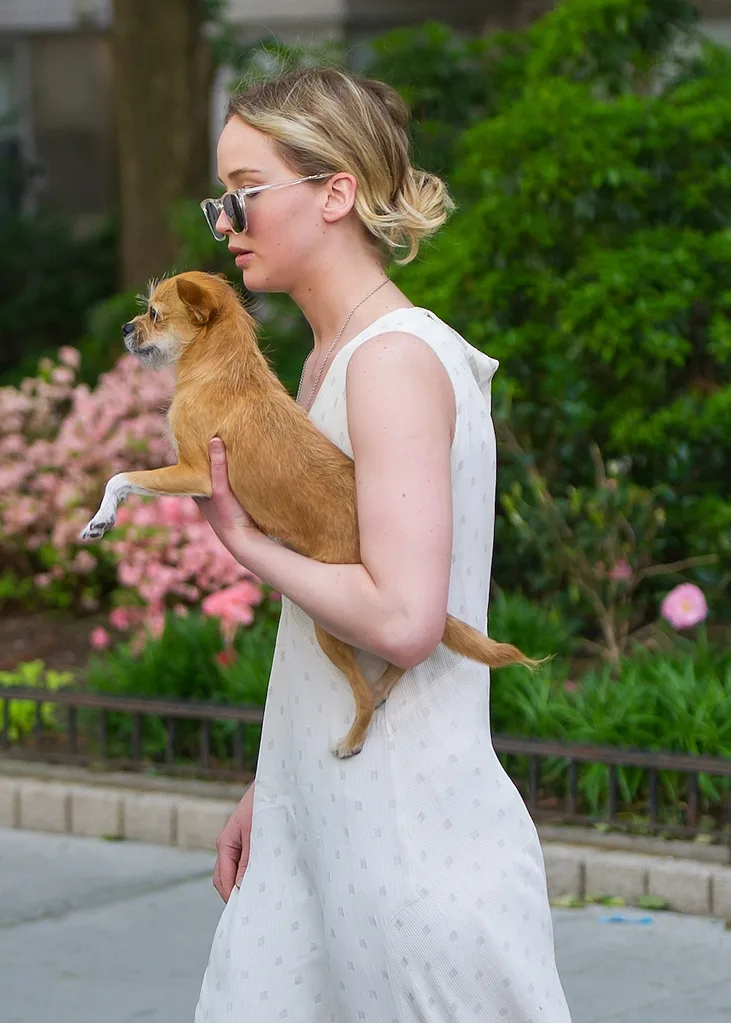 Jennifer Lawrence Unleashes At Paparazzi Who Touched Her Dog | marie claire