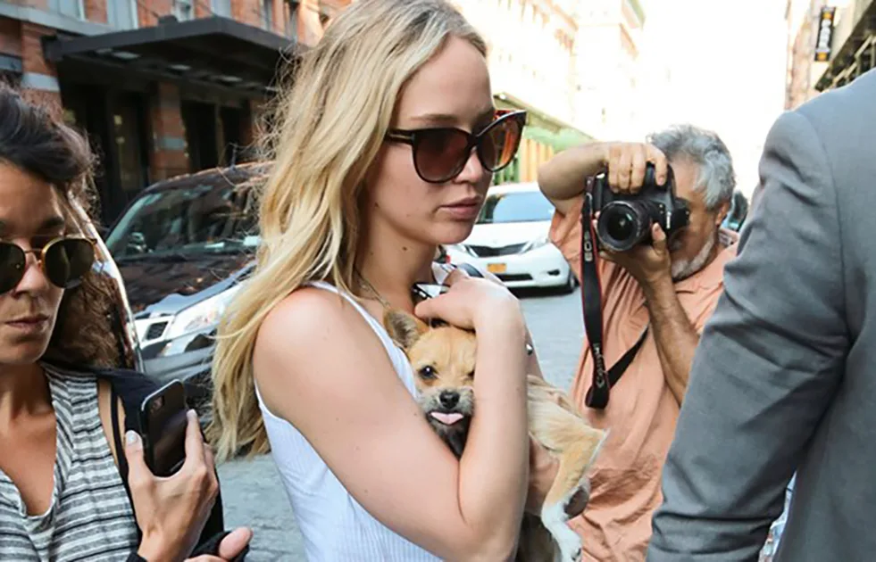 Jennifer Lawrence Unleashes At Paparazzi Who Touched Her Dog | marie claire