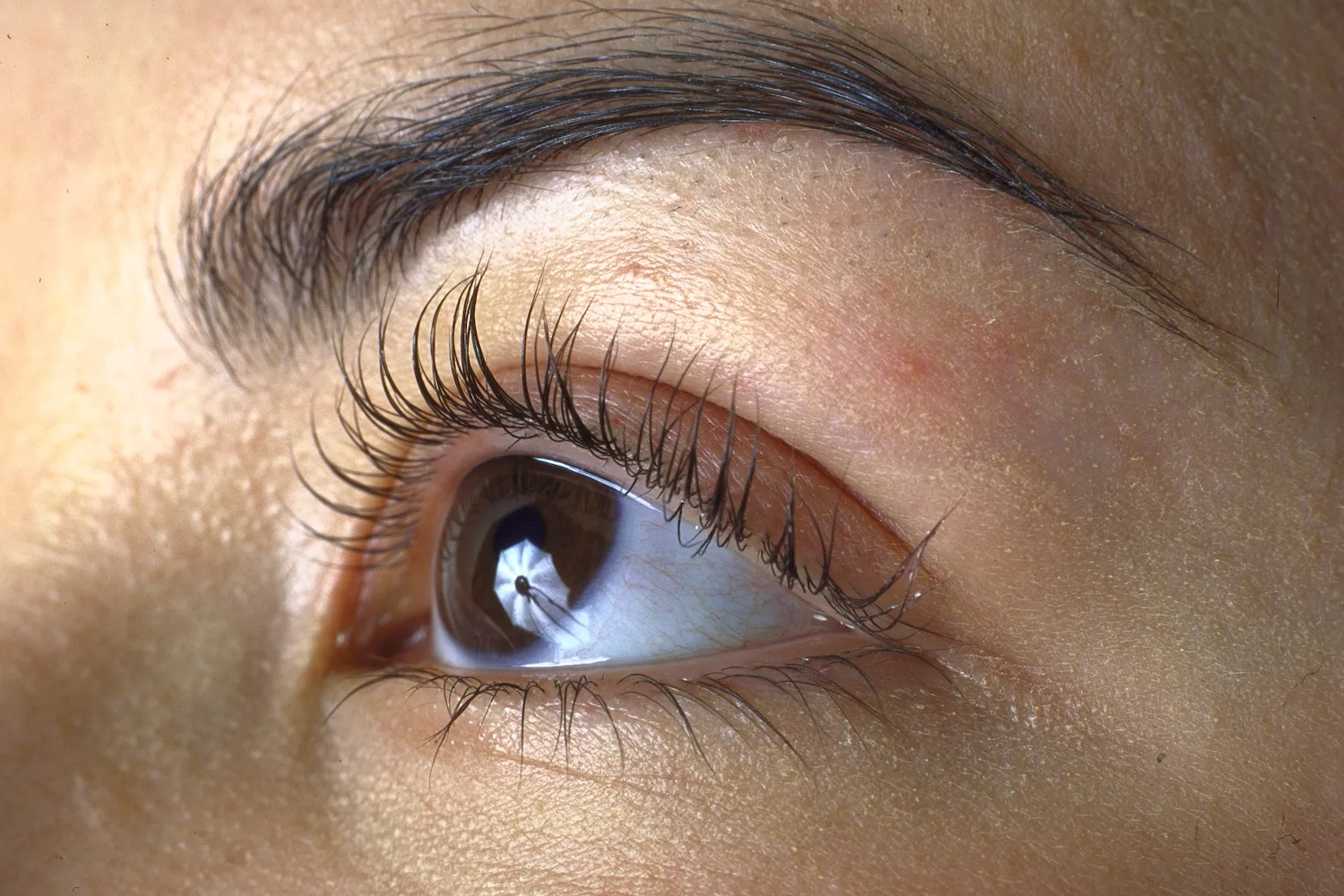 Eyelash Perm: Everything You Need to Know about Lash Lifts