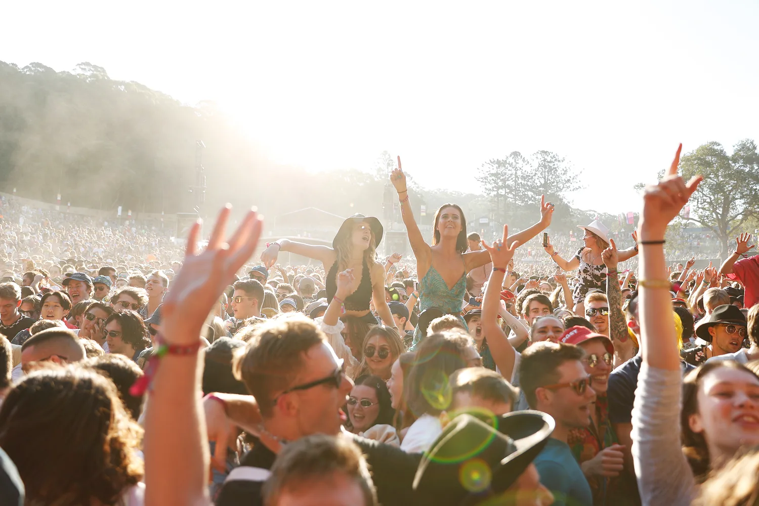 Splendour in the grass 2020 store