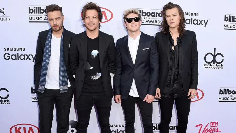 GUYS, Are One Direction Breaking Up For Good?
