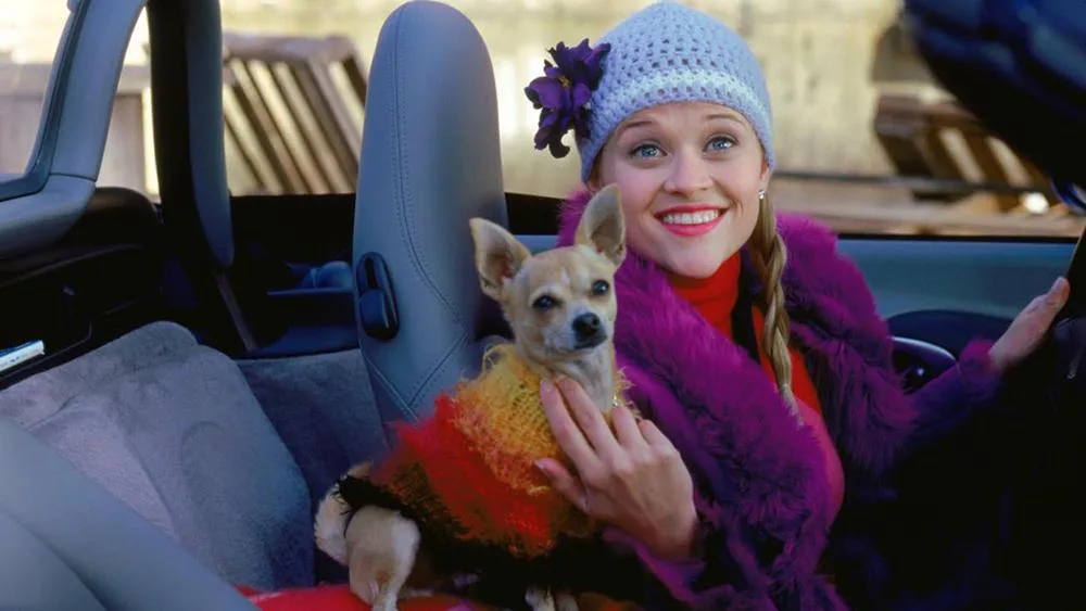 Elle Woods' Dog From 'Legally Blonde', Bruiser, Has Died