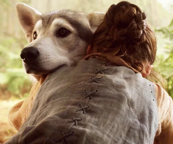 The Hidden Meaning Behind Arya's 'Game Of Thrones' Reunion