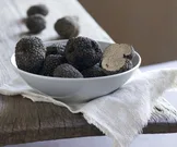 Truffle Facts: Everything You Need To Know About Truffles