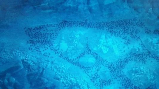 Why The White Walkers Formed The Stark Sigil