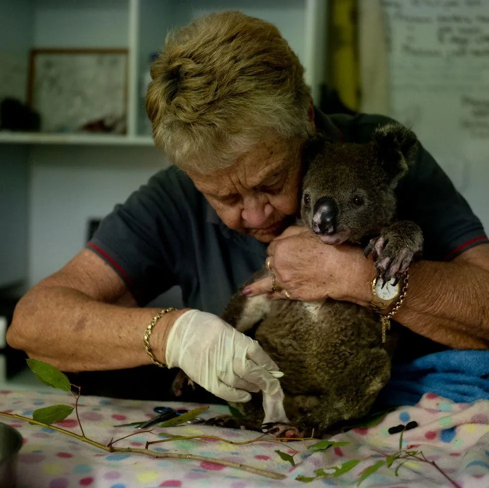 Australia Bushfires: The Real Stories Behind These Viral Photos