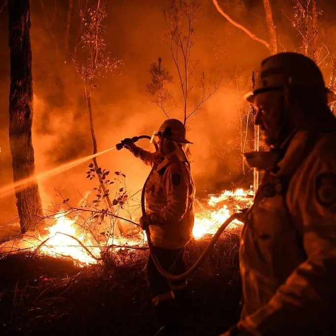 Australia Bushfires: The Real Stories Behind These Viral Photos