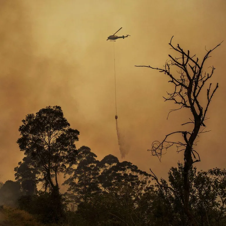 Australia Bushfires: The Real Stories Behind These Viral Photos