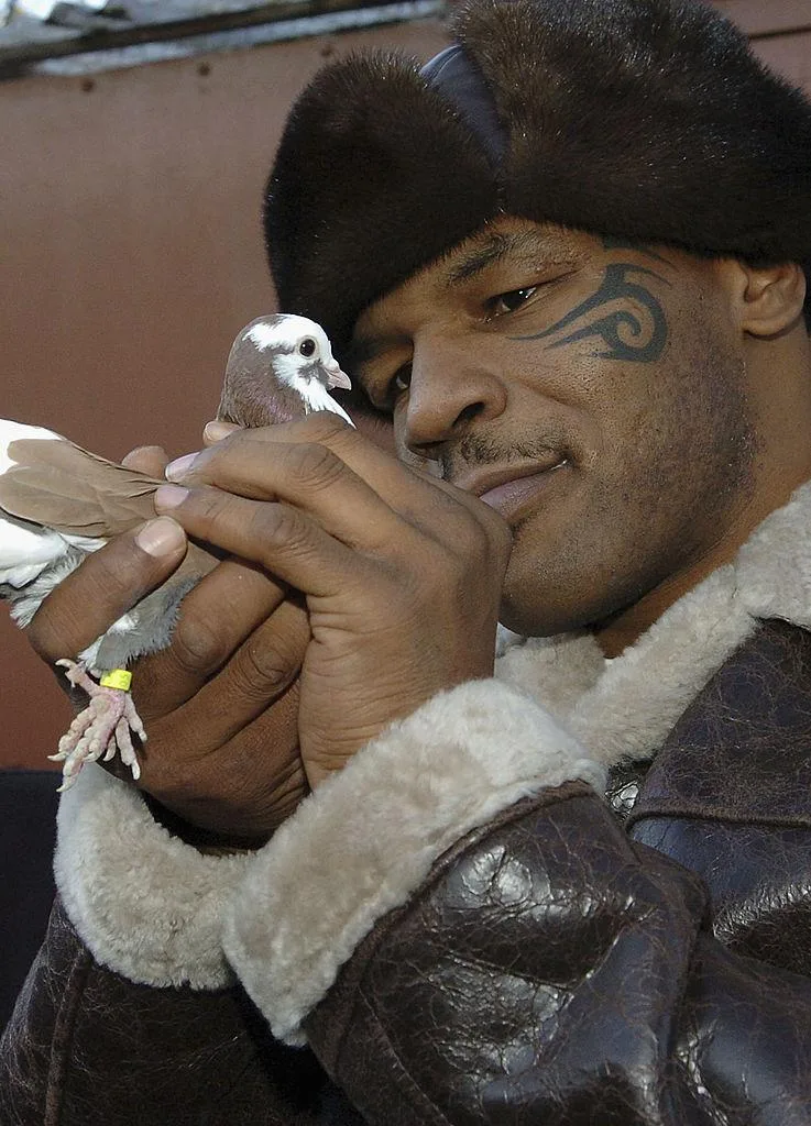 20 Celebrities With Weird And Interesting Hobbies