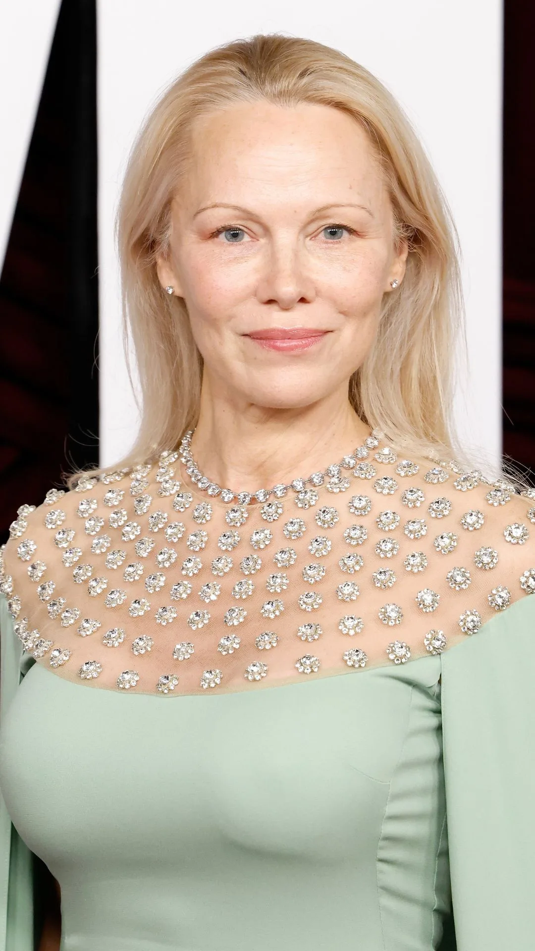 Pamela Anderson's Before And After Beauty Evolution