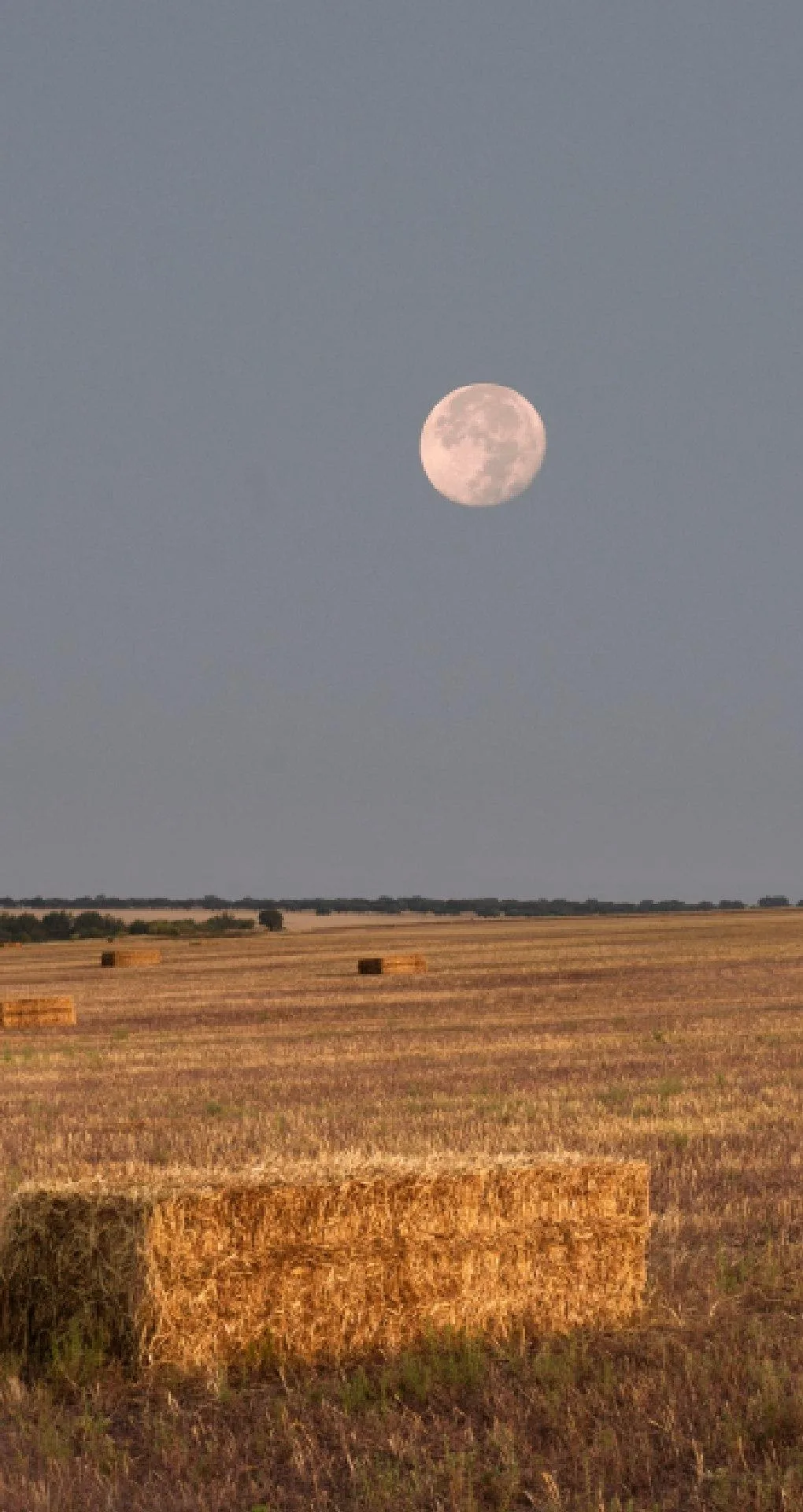 Super Harvest Moon 2023: What Is Is & How To See It
