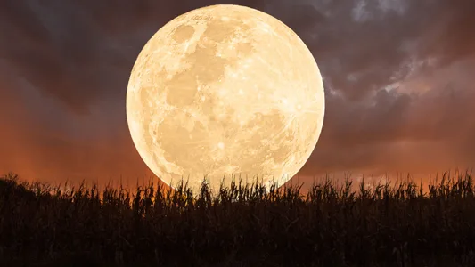 How To Embrace The Energy Of The Super Full Harvest Moon On Monday