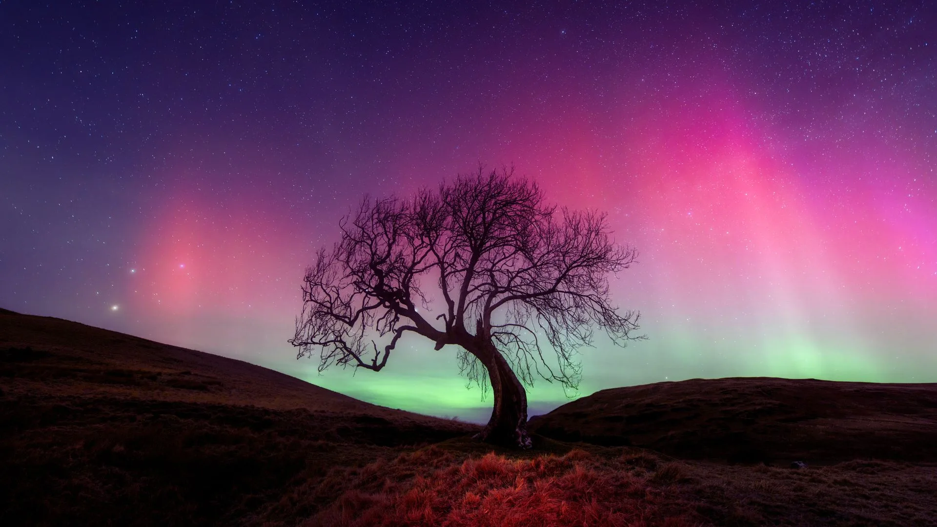When & Where To See The Aurora Australis In Your State Tonight