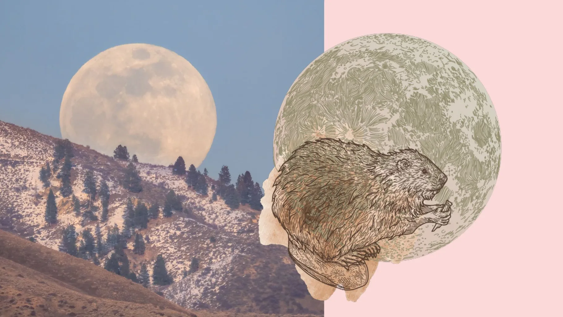 November's 2025 Beaver Full Moon Will Be Australia's Brightest