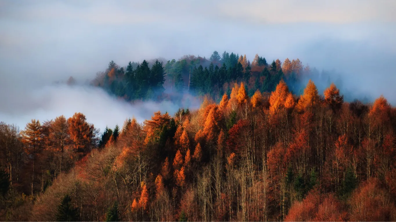 What Does The Autumnal Equinox Mean In Australia?