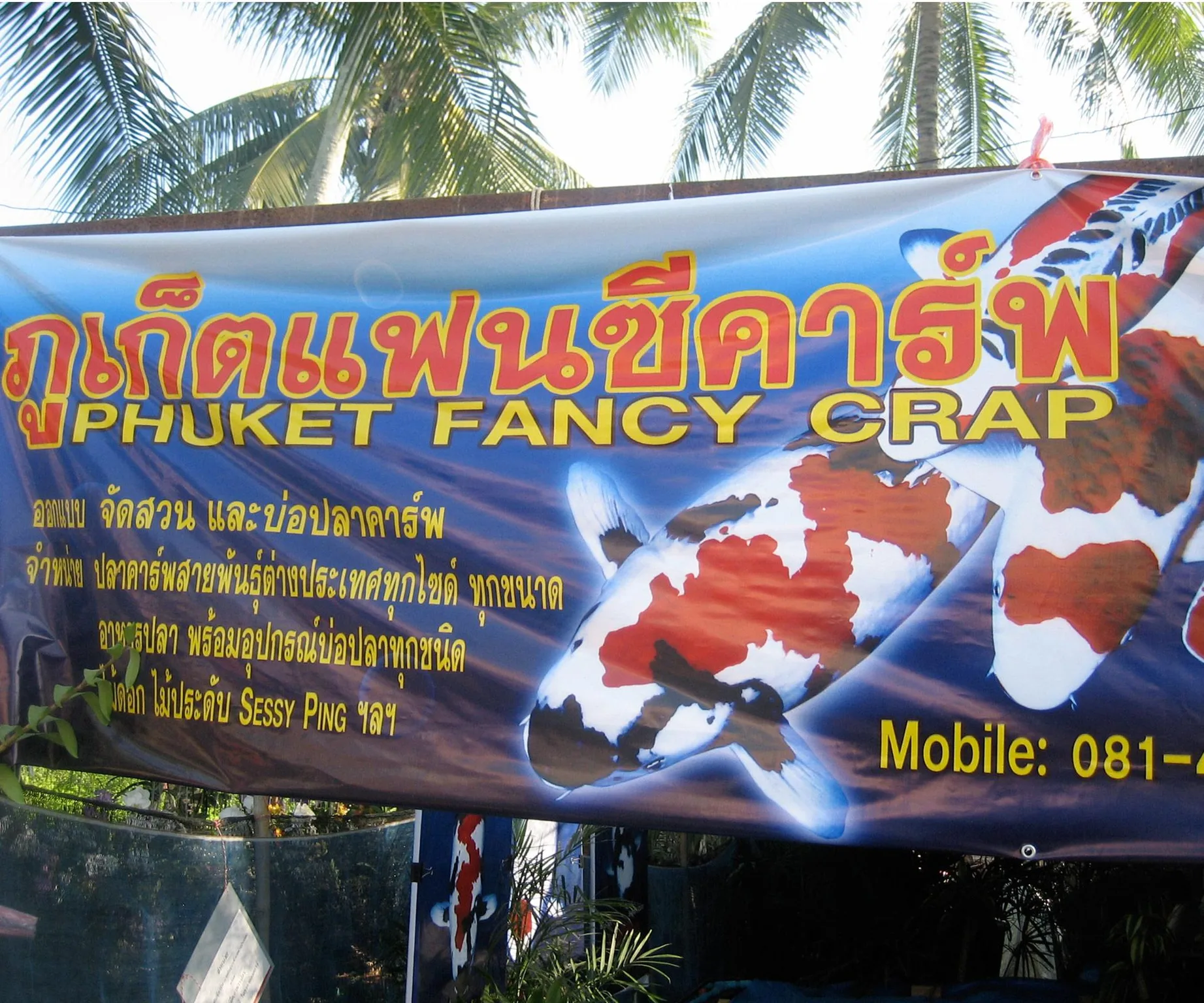 Hilarious English fails from around the world