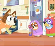 Beloved Australian children series, Bluey will return for season four ...