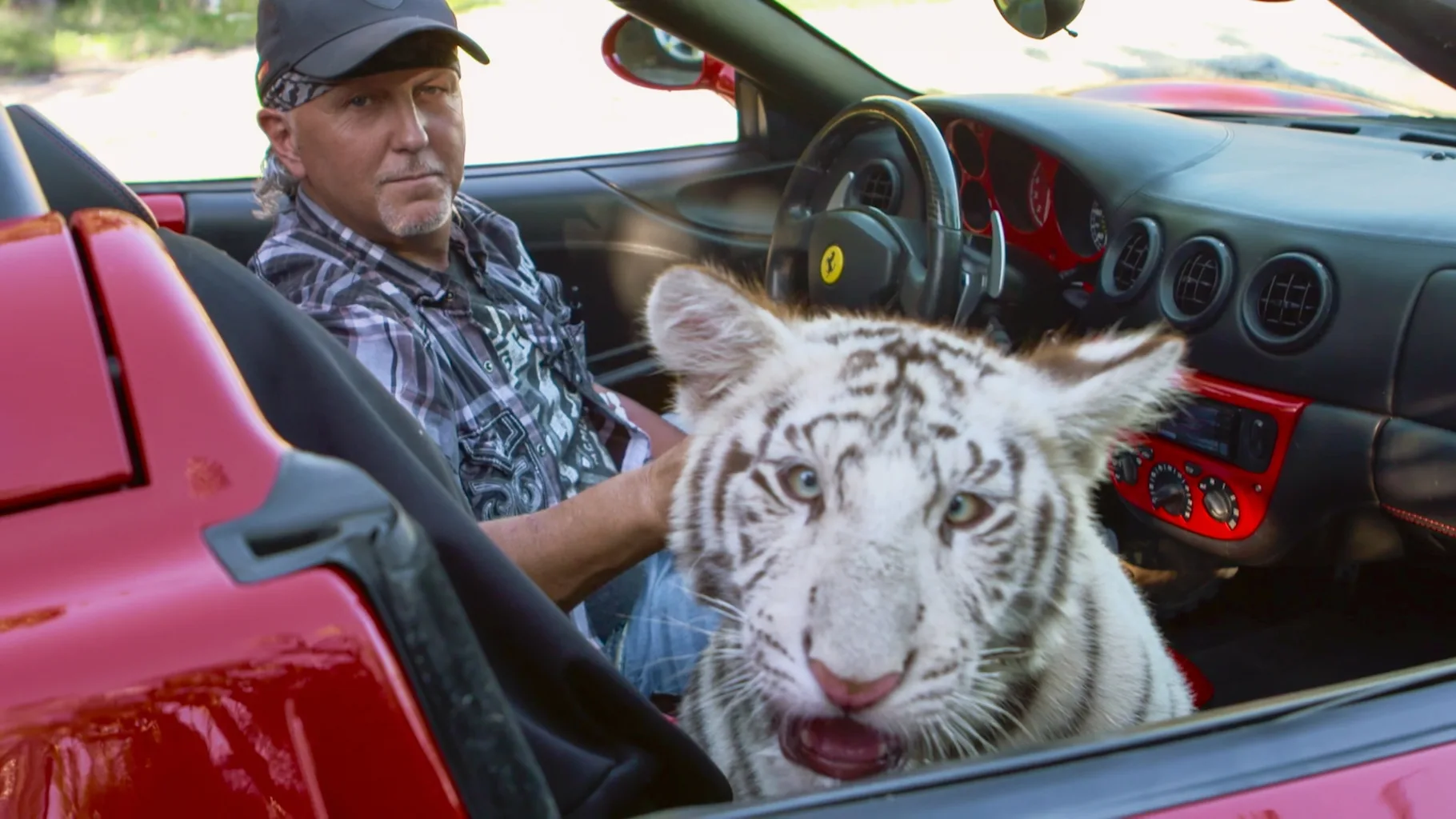 Where to watch Chimp Crazy in Australia | Now To Love