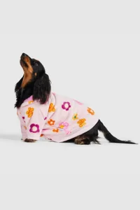 The best dog Oodies and coats to buy your pet | Now To Love