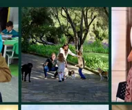 Here's what Prince Archie looks like now (20+ photos)