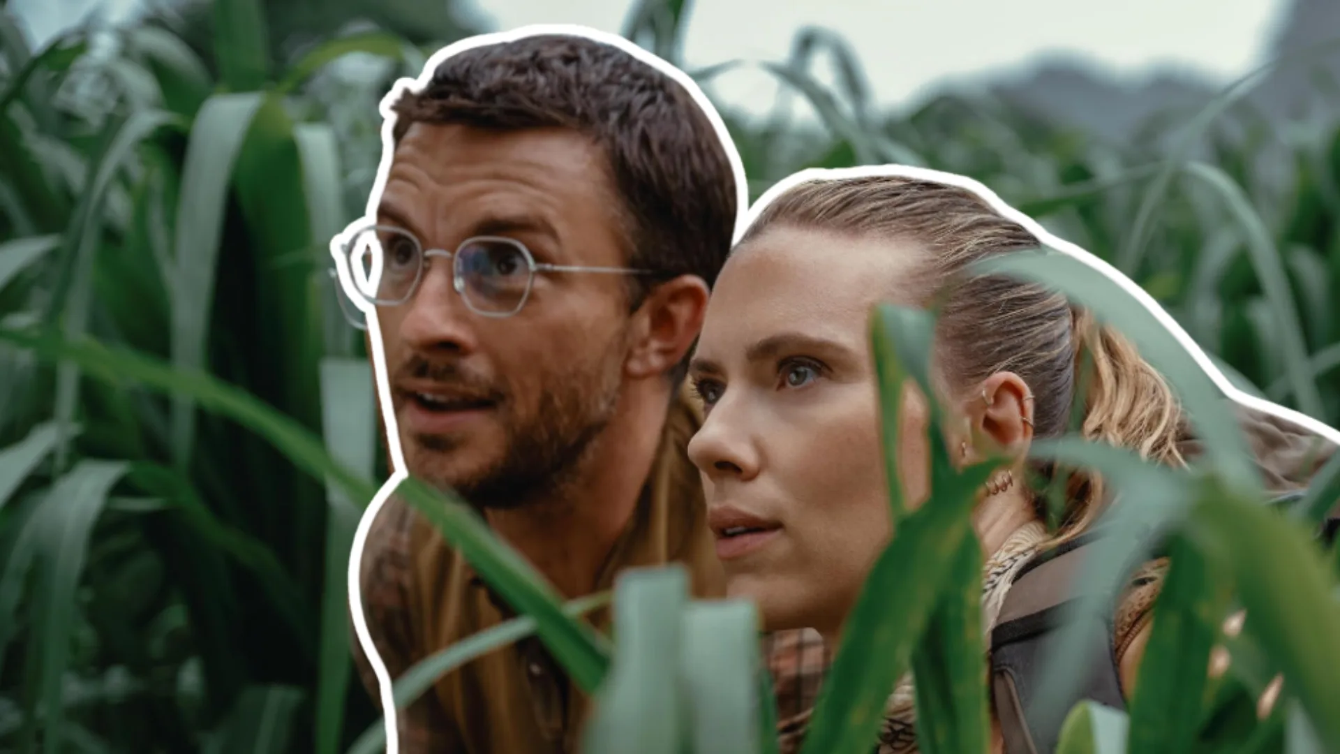 Verity Movie: Cast, Plot, Release Date & Where To Watch | Now To Love