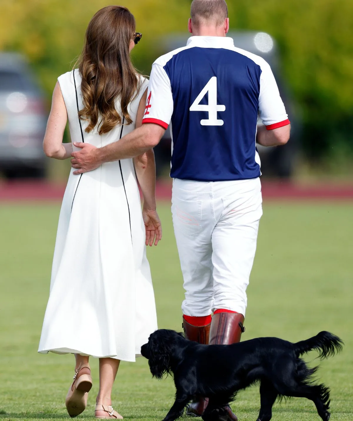 Meet the royal family's beloved dogs | Now To Love