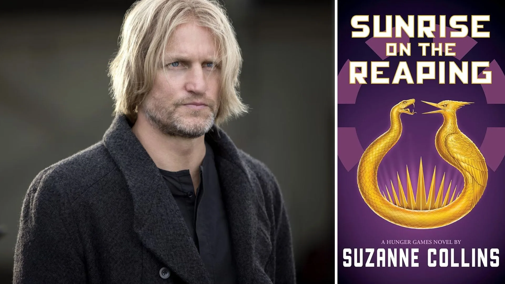 Sunrise on the Reaping Movie: Cast, Plot & Release Date | Now To Love