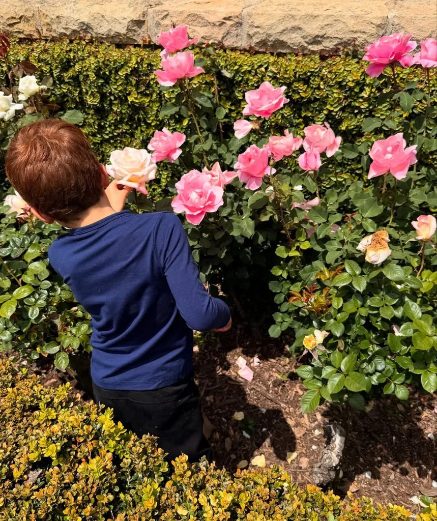 Here's what Prince Archie looks like now (20+ photos)