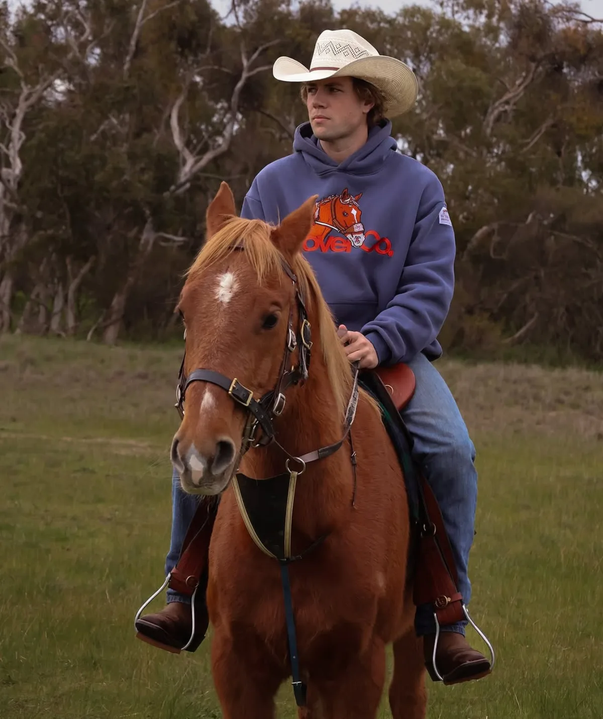 Why everyone's going crazy for Farmer Wants A Wife star Dylan