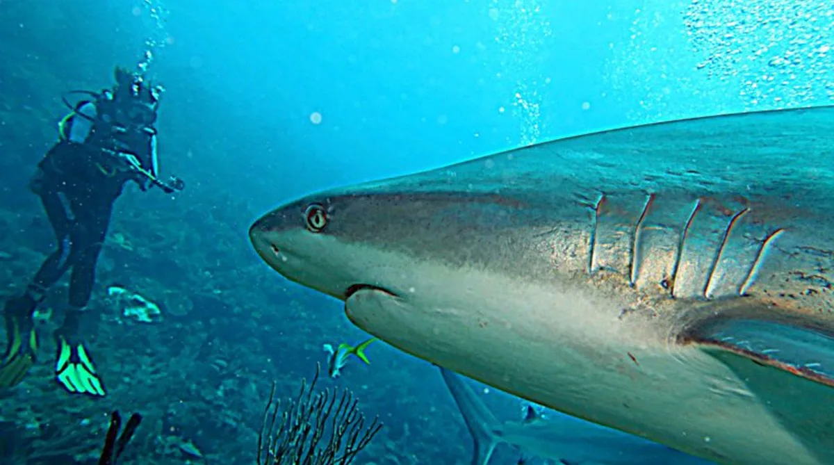 50 challenges made me fearless by 50! | Now To Love | Take 5