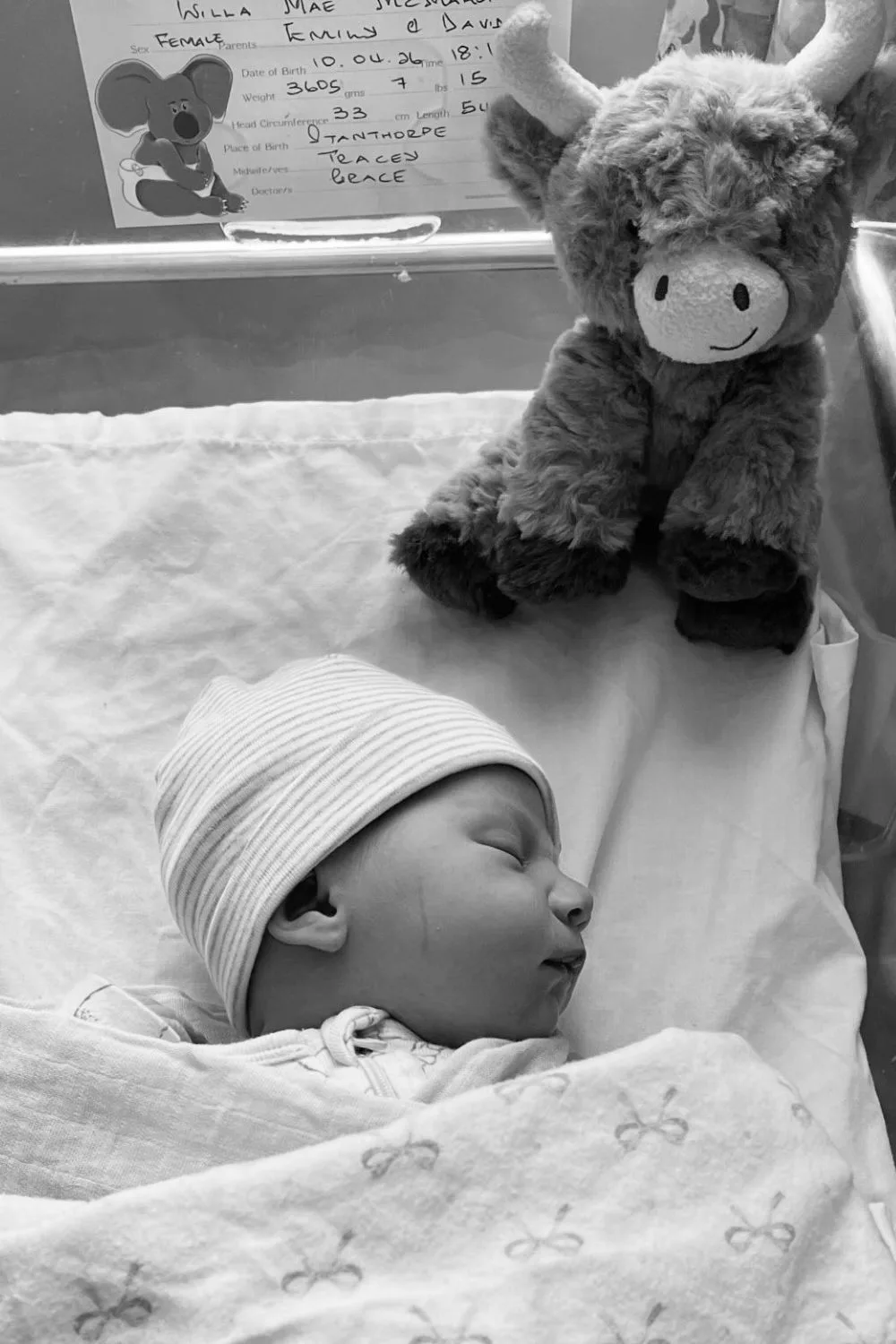 FWAW Fan Favourites Drop Baby Bombshell: First Child Arrives in Heart ...