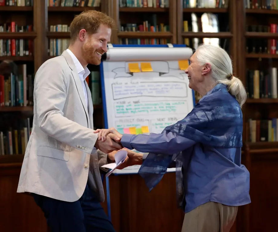 "She held our son, Archie": Inside Jane Goodall and Prince Harry’s ...