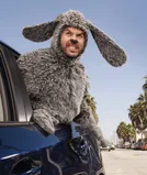 Good boys forever: The 10 most iconic TV dogs of all time