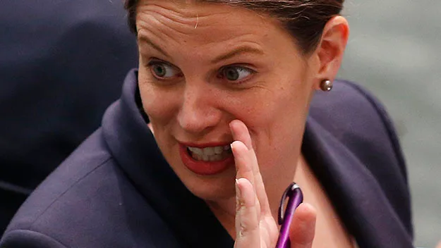 Federal Labor MP Kate Ellis pregnant