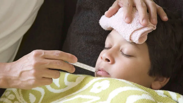 Don't fight the fever, let it run its course: expert advice