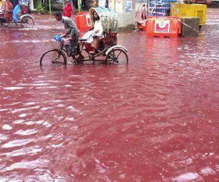 Animal sacrifice flood Bangladesh streets with blood