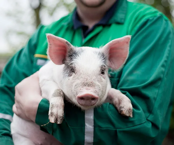 Take 5’s Ripper Real Life Podcast: Episode 30