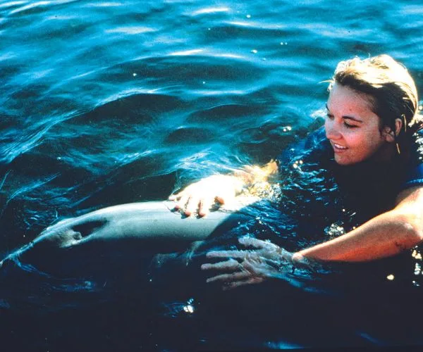 Incredible story of Australian woman healed by dolphin