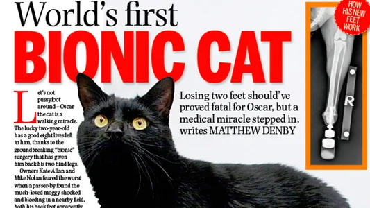 World's first bionic cat