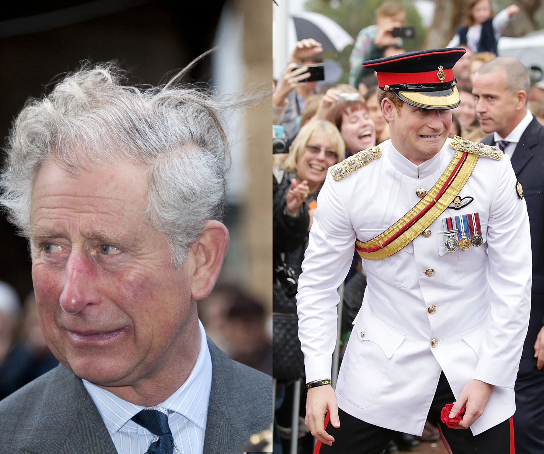 Who does Prince Harry look like?