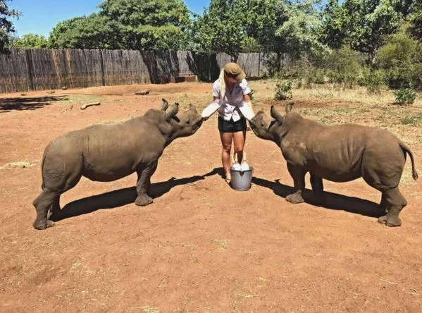 baby rhino and human