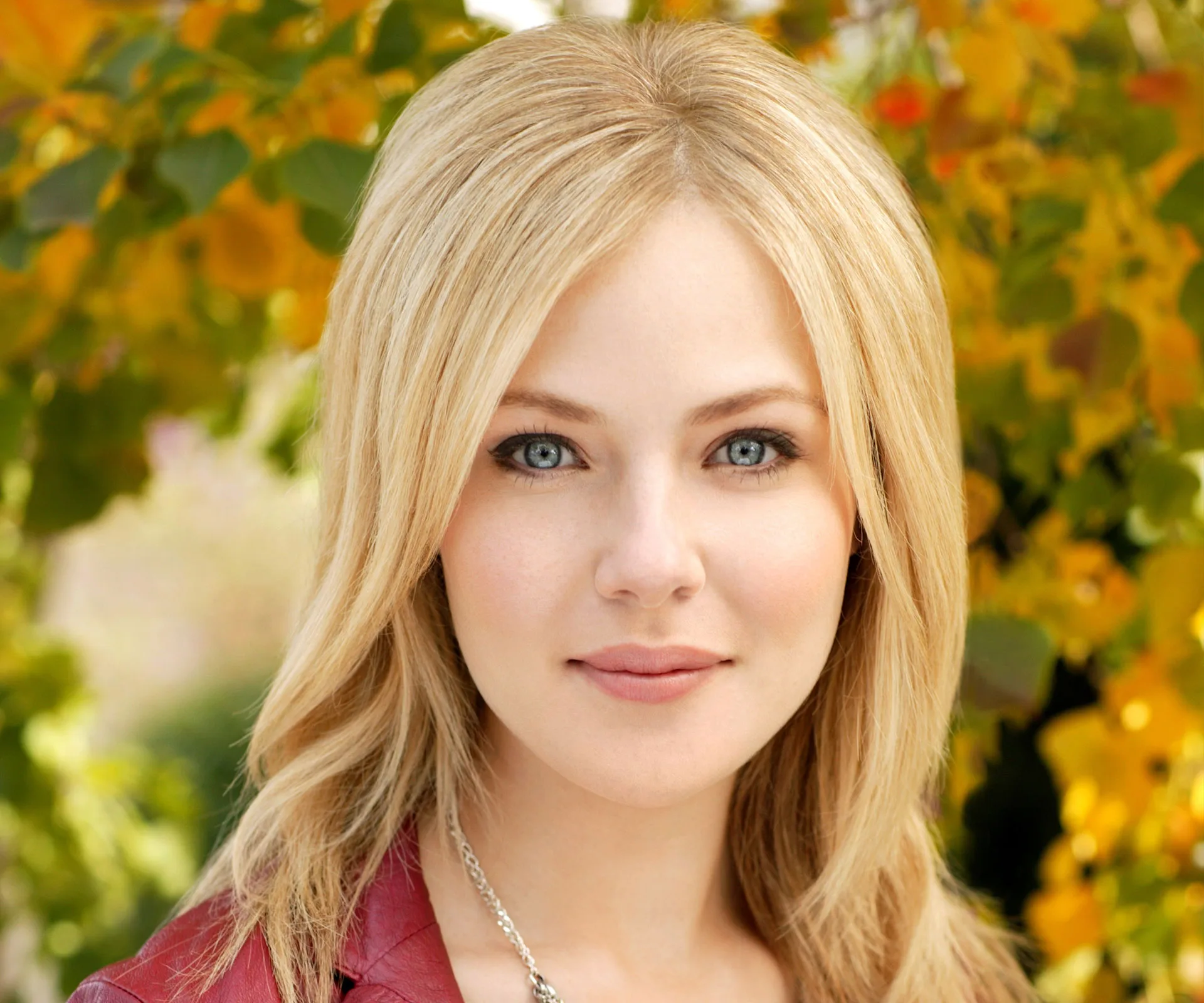 What are the cast of Packed To The Rafters doing now?