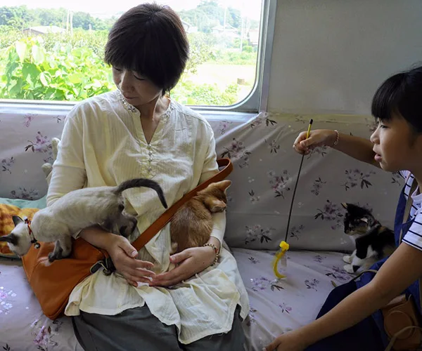 The world's first cat cafe train