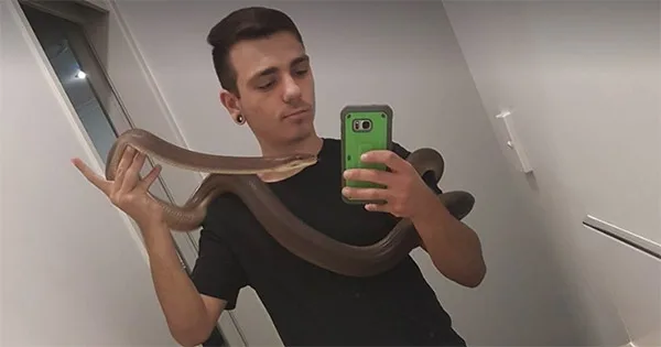nathan snake