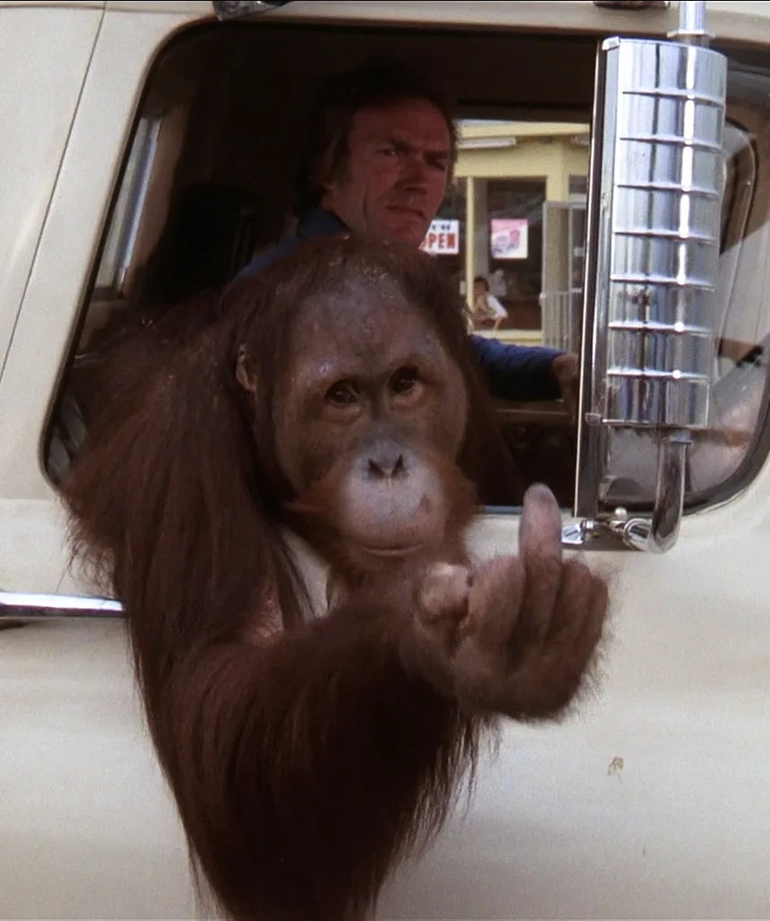 Monkey Business: The 10 best TV shows & films starring primates